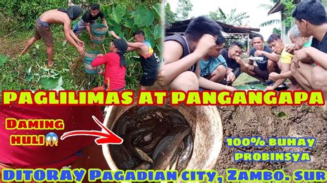 Pangangapa At Paglilimas Ng Isda Sa Maliit Na Sapa Youtube