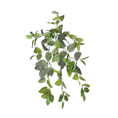 FITONIA COLGANTE ARTIFICIAL 60CM Volplant Flores Y Plantas Artificiales