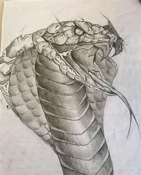 Drawing Snake Snake Drawing Snake Art Woman Drawing