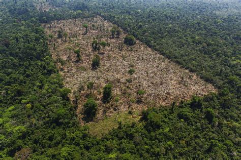 Desmate no cerrado e Amazônia no 1º tri passa de 2 000 km2 07 04 2023