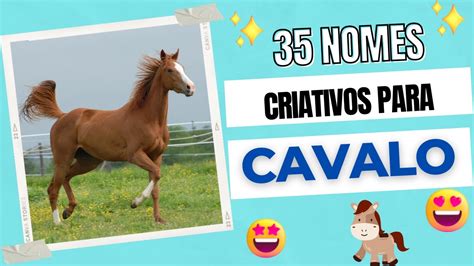 Nomes Criativos Para Cavalos Youtube