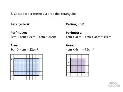 Perímetro e área Planos de aula 5º ano