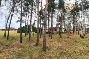Domy na sprzedaż Brodnica Morizon pl
