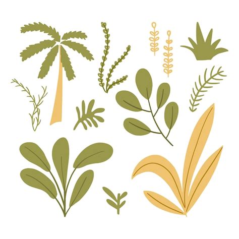Conjunto de imágenes prediseñadas planas de árboles tropicales plantas