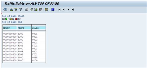 An SAP Consultant ABAP Traffic Lights On ALV TOP OF PAGE