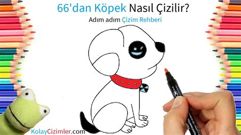 Adım Adım 66 dan Köpek Resmi Çizimi KOLAY ÇİZİMLER