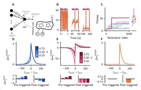 cartesian genetic programming evolves diverse correlation driven download scientific diagram