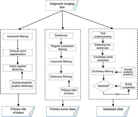 frontiers a pattern based method for medical entity recognition from chinese diagnostic
