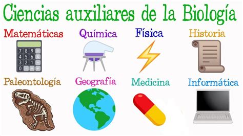 Cuáles son las 8 ciencias auxiliares Comprender mx