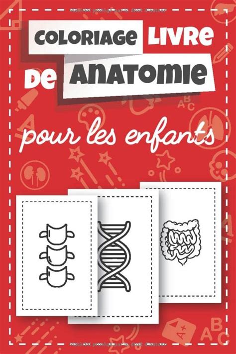 Buy Livre De Coloriage Anatomie Pour Les Enfants Parties Du Corps