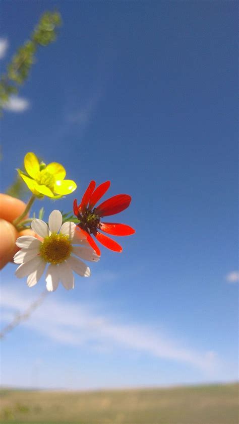 joao paulino adlı kullanıcının IMAGENS E FOTOS LINDAS panosundaki Pin
