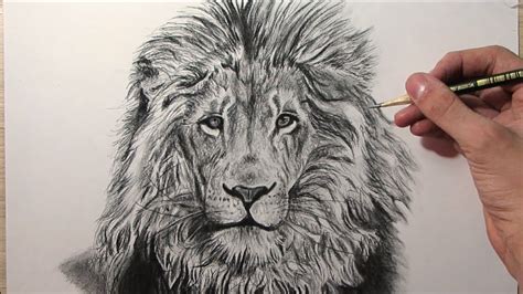 Como Dibujar Realista Facil Os Muestro Un Tutorial Para Aprender A