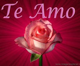 Im Genes De Rosas Que Digan Te Amo