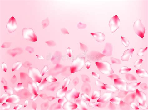 P talos Que Vuelan Del Rosa Japon s De La Flor De Cerezo Ilustración