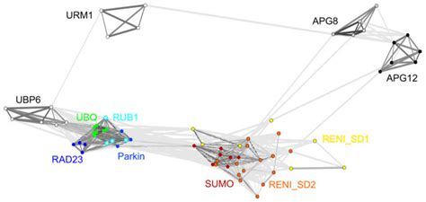 graph representation of pair wise sequence similarities for known download scientific diagram