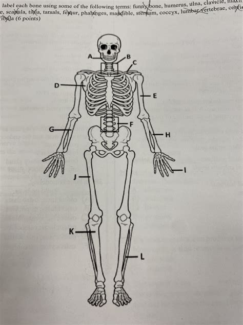 Bio Diagram Quizlet