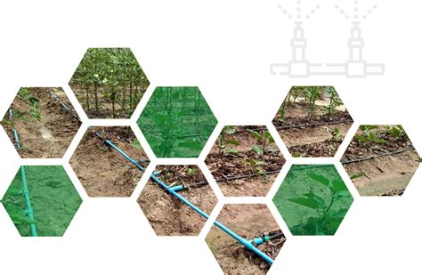 Flat Drip Irrigation Pipes Allwin Pipes Innovative Water Solutions