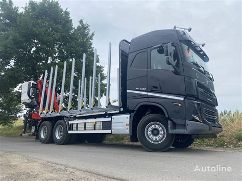 Ciężarówka do przewozu drewna Volvo FH 500 DO DREWNA na sprzedaż Polska