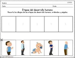 Etapas Del Desarrollo Humano Legsa
