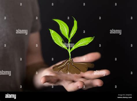 Ilustración de una pequeña planta en crecimiento que se cierne sobre la