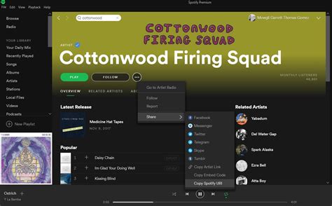 How To See Your Spotify Stats Fitlula