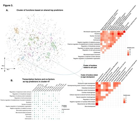 Clustering Of Functions Based On Shared Predictive Epigenomic Features