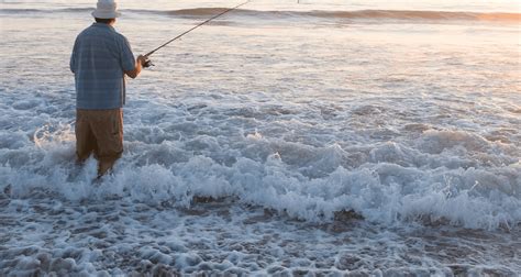 The Best Surf Fishing Lures For Full List Reviews