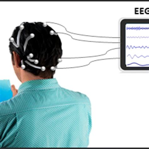 eeg signals recorded from different positions on scalp while a person download scientific