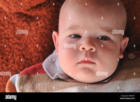 Three And Half Months Old Baby Headshot Stock Photo Alamy