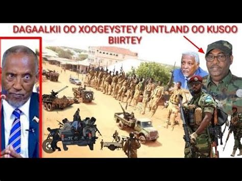 Daawo Dagaal Culus Oo Caawa Ka Qaraxay Laasacaano Iyo Ciidankii Beesha