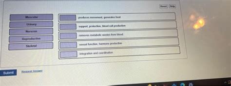 Solved Match Each Key Term To The Appropriate Description Chegg