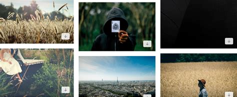 Comment et où trouver des images gratuites et libres de droit Geeko