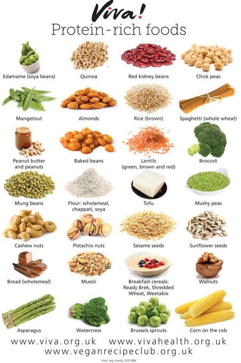 Protein Rich Foods Wallchart Viva Health High Protein Foods List Printable List Of Protein Foods