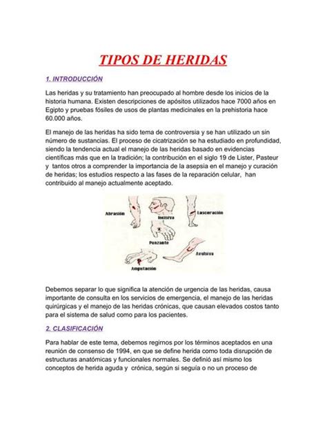 Cuadro Comparativo Tipos De Heridas Udocz The Best Porn Website