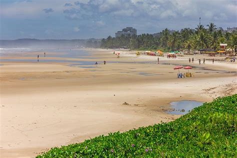 O que fazer em Ilhéus Melhores praias e passeios