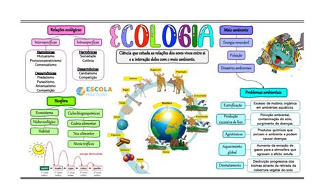 Arriba 95 Imagen Biosfera Mapa Mental Abzlocal Mx