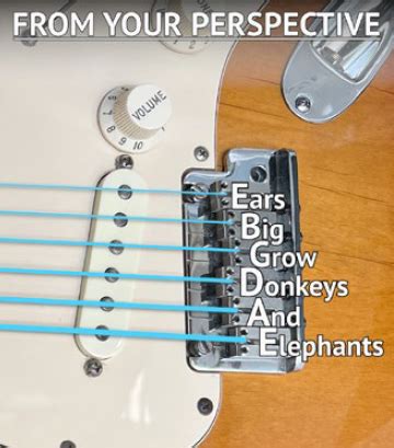 Learn The Guitar String Names In Order
