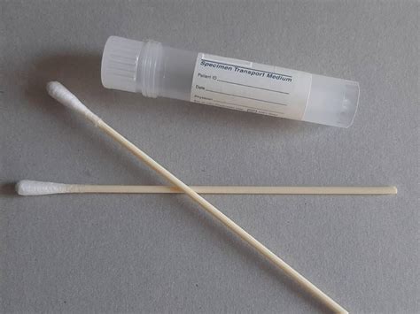 Using Human Papillomavirus HPV Detection Tests For Cervical Cancer