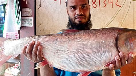 8Kg Silver Carp Fish Cutting Skills In Bangladesh Fish Market ৮ কজ