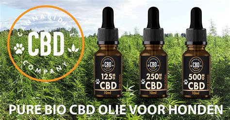 CBD Olie Voor Honden Cbdolievoorhonden Nl