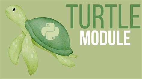 how to use turtle module python tutorial for turtle import youtube
