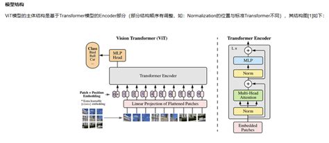 Vision Transformer 图像分类识别 基于 ViTVision Transformer的图像十分类 实战 完整代码 毕业设计