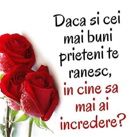 Mesaje Frumoase Despre Prietenie Daca Si Cei Mai Buni Prieteni Te