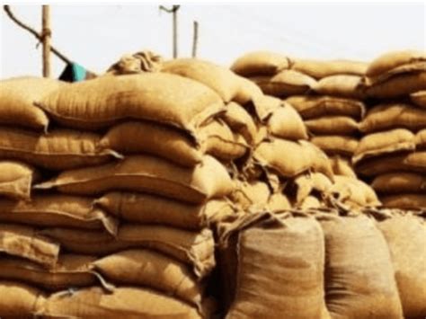 Govt Bans Export Of Non Basmati White Rice To Ensure Domestic Availability