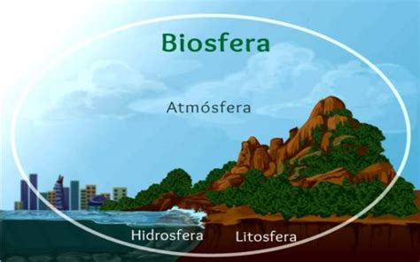 Que Es La Biosfera Dinami