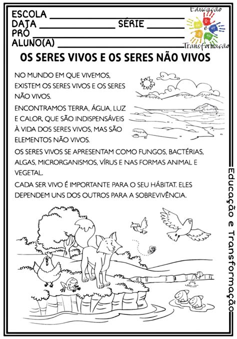Atividades Sobre Seres Vivos 4 Ano REVOEDUCA