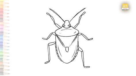 Brown Marmorated Stink Bug Drawing Video Bug Drawings How To Draw