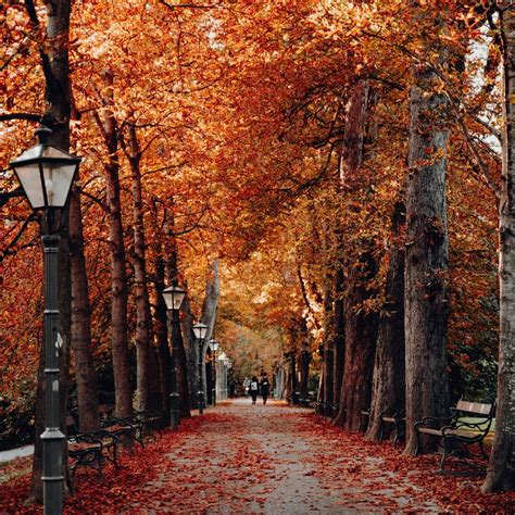 Cuándo empieza el otoño este año Travel Life Tu Guía de Viajes y
