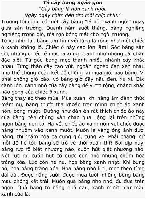 Top 15 bài văn mẫu tả cây bàng lớp 4 ngắn gọn và chi tiết nhất