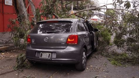 Paco Zea Alerta Amarilla Por Vientos Fuertes En La Cdmx